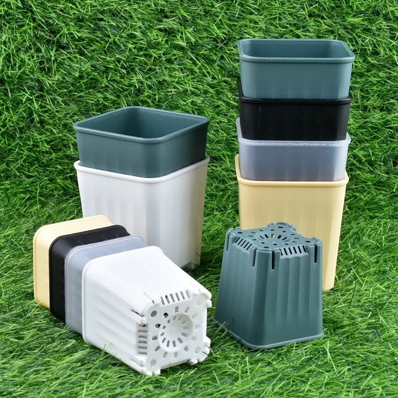 5-10-20Pcs-Small-Square-Flowerpot-Thickened-Flower-Succulents-Plant ...