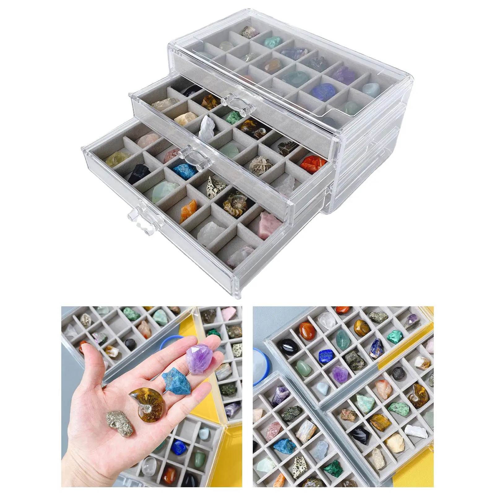 Rock-Collection-for-Kids-Learning-Educational-Toy-Ornament-Box-Geology ...