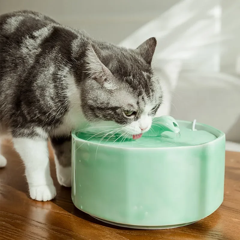 Auto Pet Water Fountain Drinker for Cats and Dog,Ceramic Cat Drinking ...