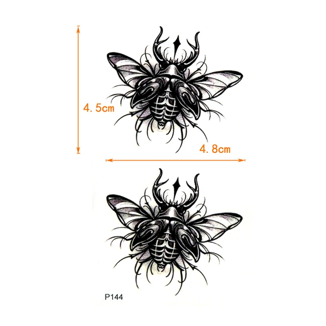 Stag Beetle Tattoo Meaning