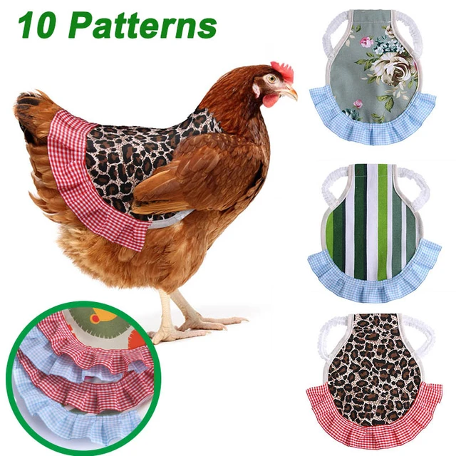 Baby Chickens In Clothes