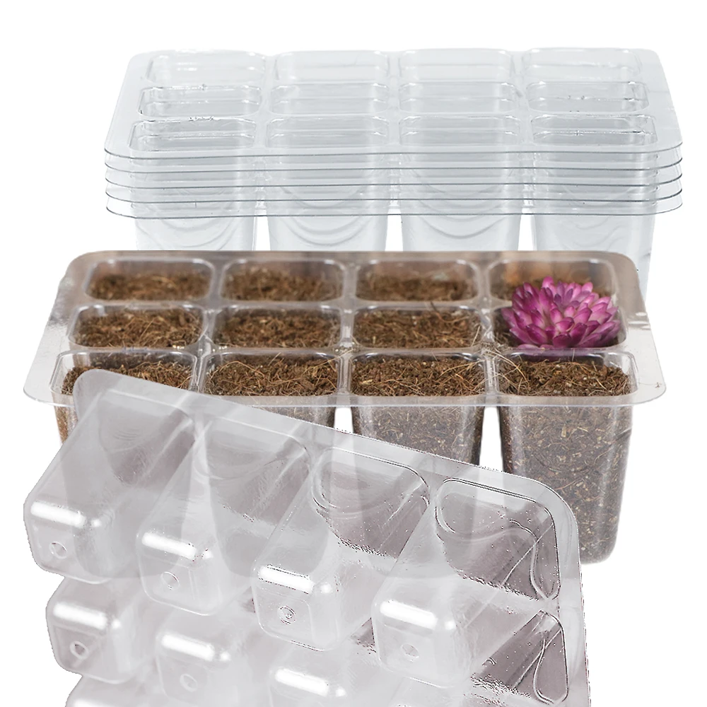 Plastic-Seed-Starter-Tray-Transparent-12-Cell-Seedling-Starting-Box ...