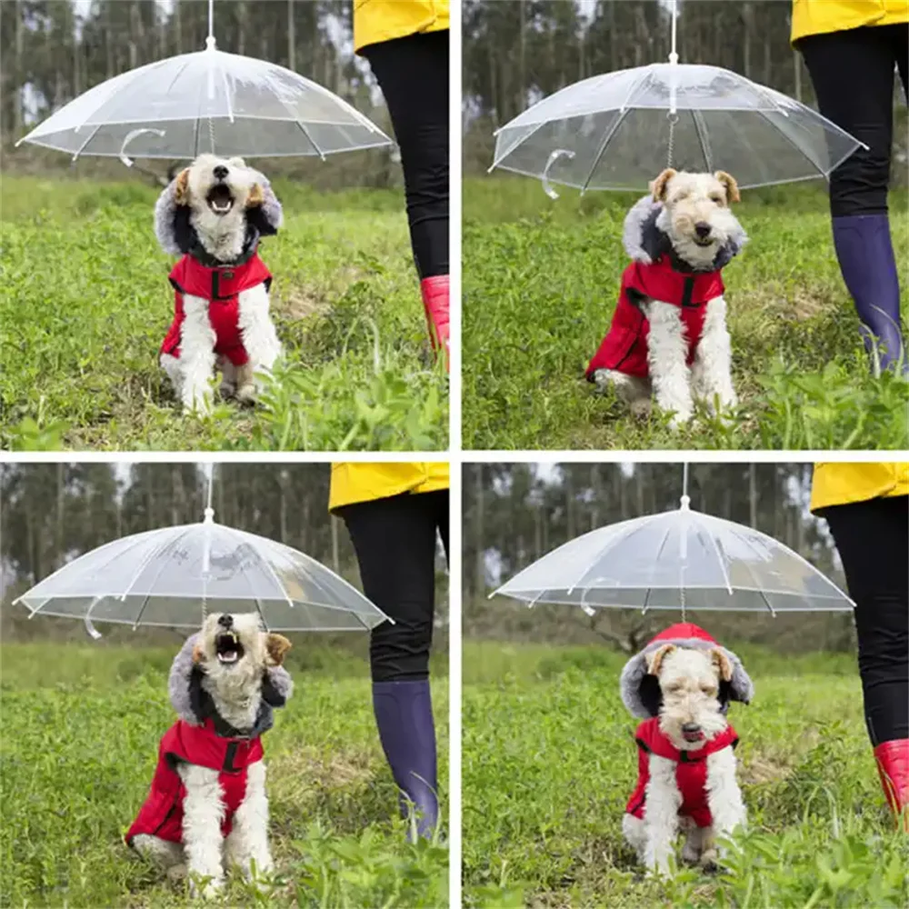 Outdoor-Small-Clear-Transparent-Snow-Rainproof-Pet-Cat-Dog-Umbrella ...