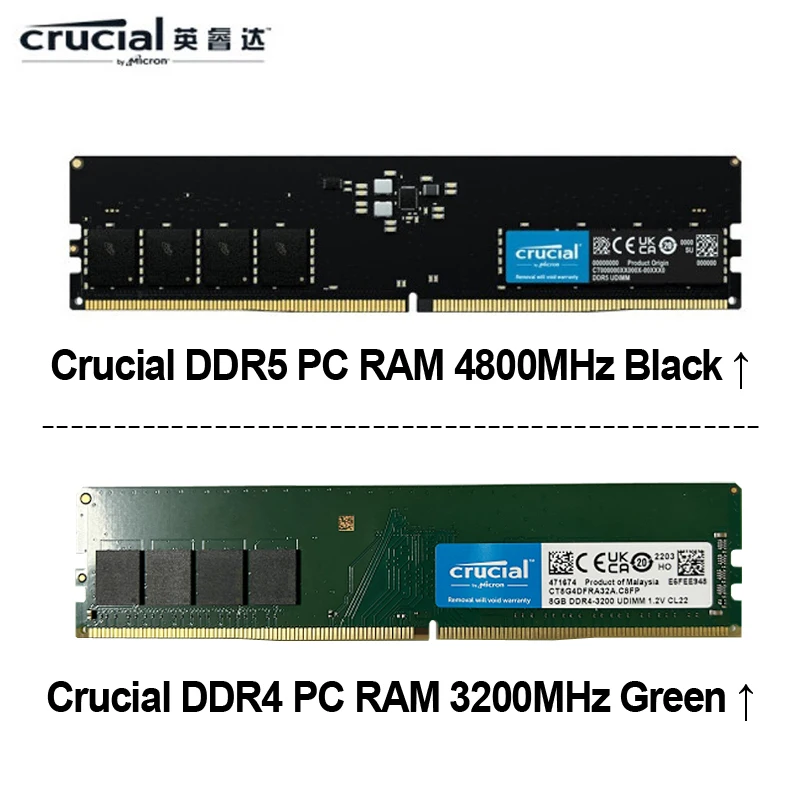 Crucial memoria RAM DDR5, 16G, 32G, 4800, 5200MHz, UDIMM, CL40, 1,1 V, RAM y Crucial, DDR4, 8G ...