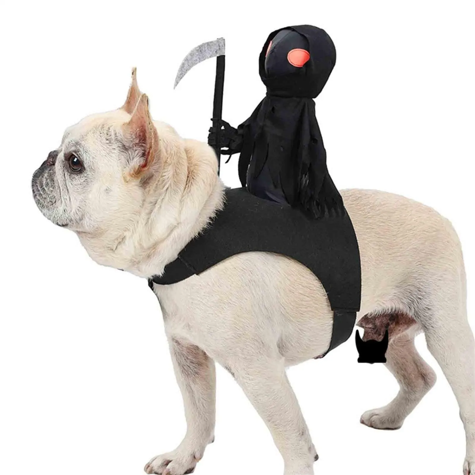 Halloween Skeleton Dog Costume – Pet Outfit for Medium & Large Dogs ...