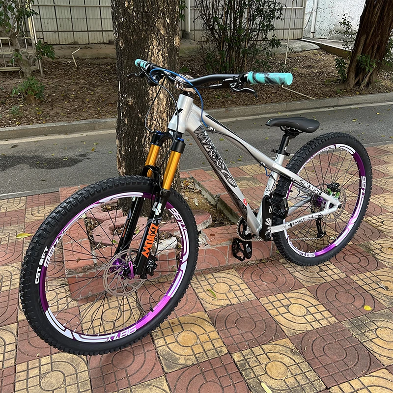 Wissco Dual Disc Brake 10-speed Dirt Jump Bicycle 26/27.5" Hardtail 4X ...