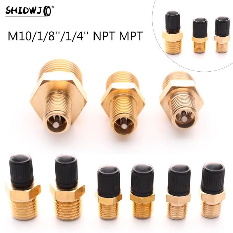 New-2pcs-M10-1-8-1-4-NPT-MPT-Brass-Air-Compressor-Tank-Fill-Valve-Double.jpg