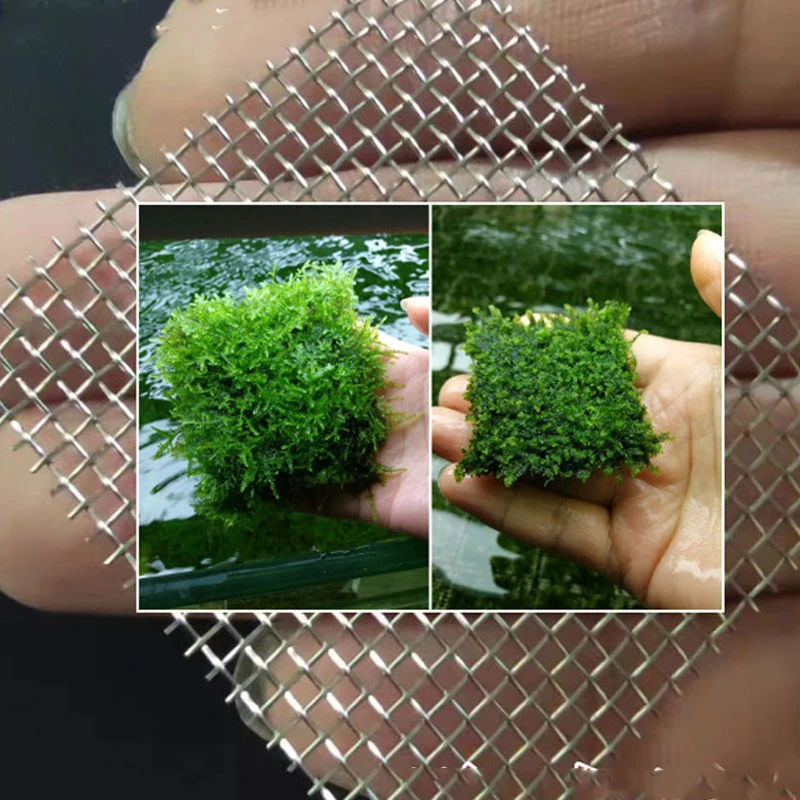 10PCS 10x10cm 304 stainless steel moss water plants fixed artifact ...