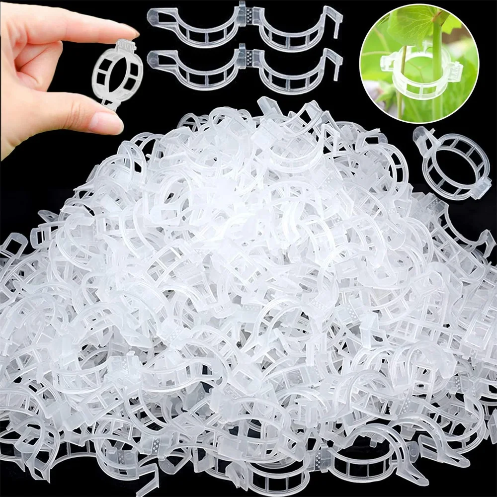 Clips De Support De Plante La Tomate Clips De Jardin R utilisables clips-de-support-de-plante-la-tomate-clips-de-jardin-r-utilisables