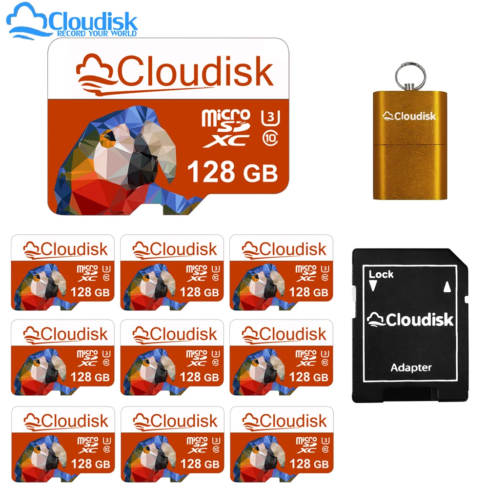 Cloudisk-10-Pieces-Micro-SD-8GB-4GB-2GB-1GB-TF-Card-Flash-Memory-Card ...