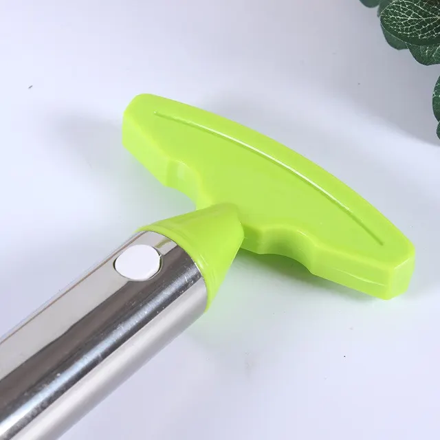 1pcs Pineapple Slicer Peeler Peeler Stainless Steel Fruit Tools Cooking ...
