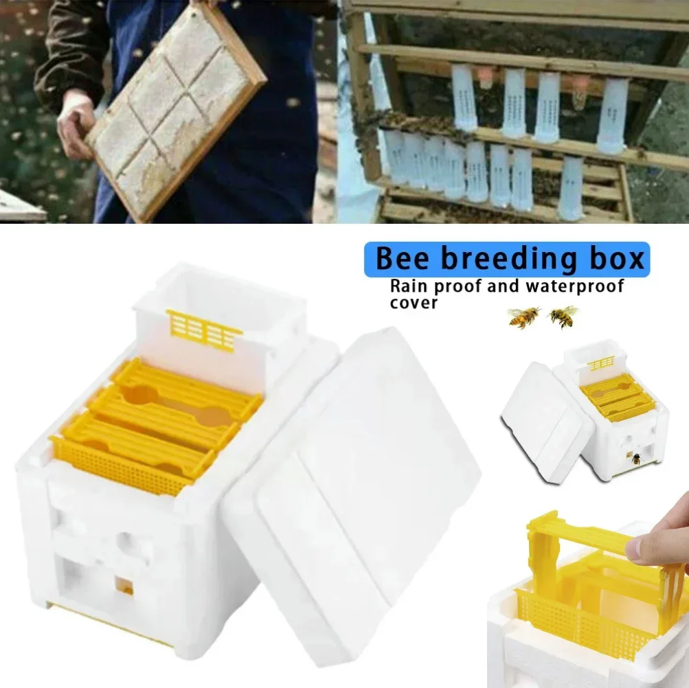 Beehive-Beekeeping-Box-Tools-Bee-Hive-Frame-Holder-Equipment-Kit ...