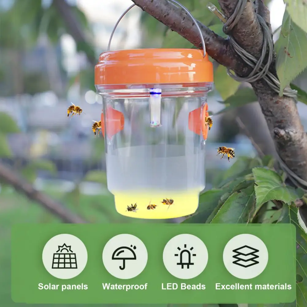 Wasp Trap Bait