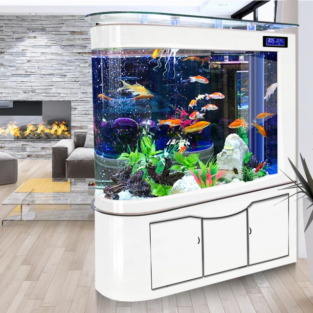 Modern Fish Tank
