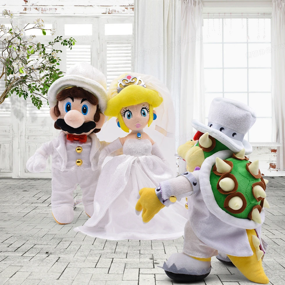 Princess Peach And Bowser