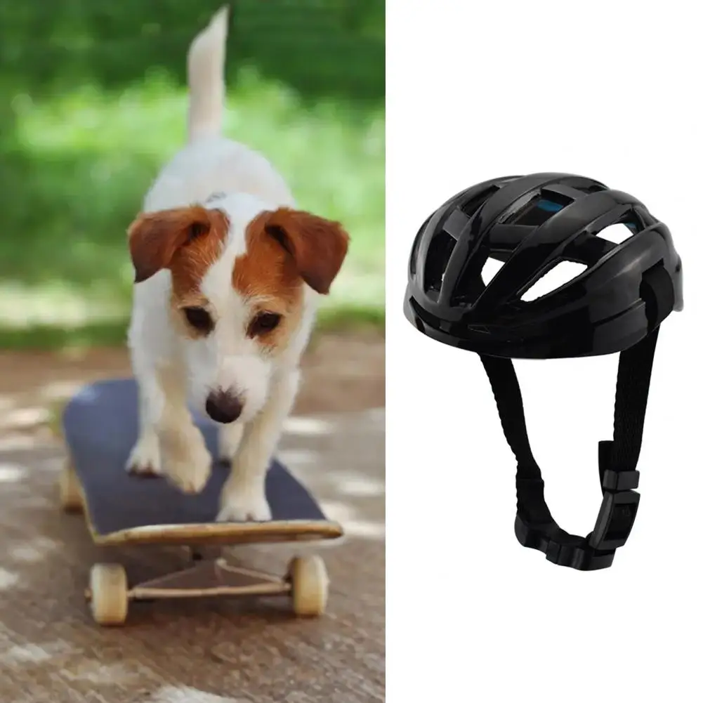 Pet-Dog-Helmet-Motorcycle-Helmet-Safety-Pet-Cap-Pet-Mini-Helmets-for ...