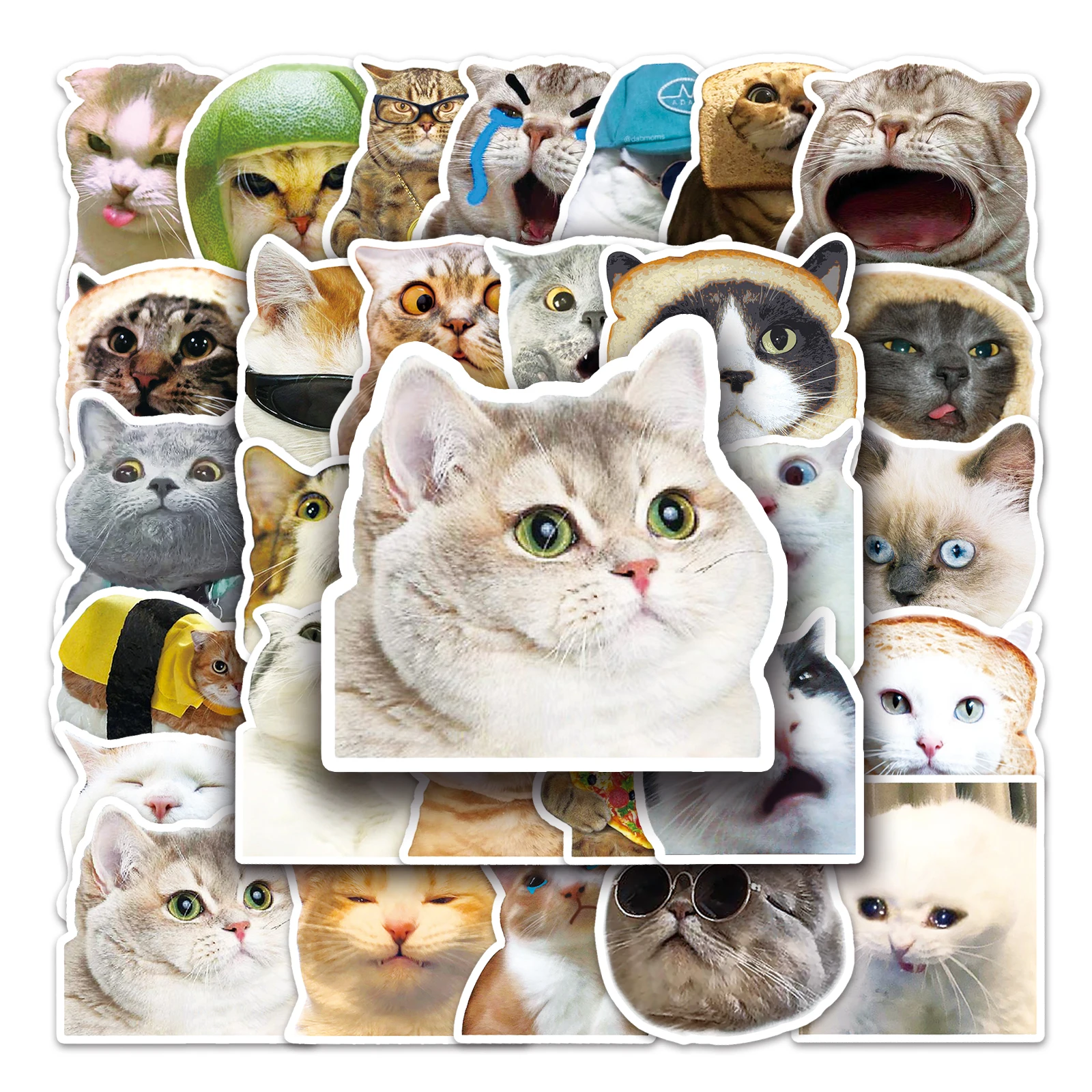 Cat Smirk Wall Decals: The Perfect Blend of Quirky Charm and Durable ...