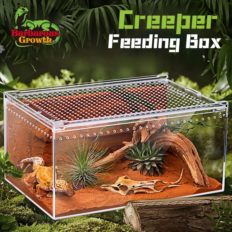 Reptile-Terrarium-Habitat-Breeding-Box-Acrylic-Transparent-Reptiles-Cage-Nano-Arboreal-Tarantula ...