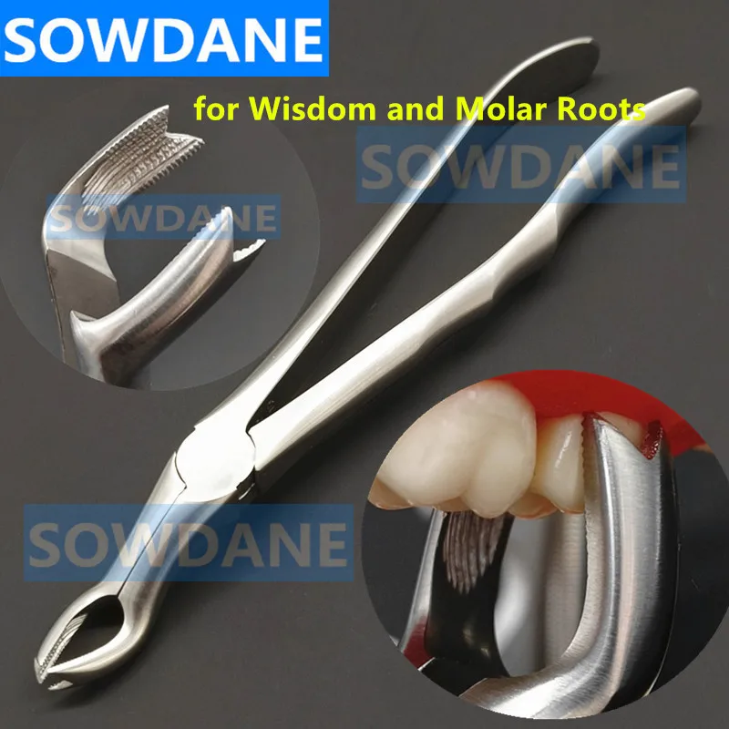1-piece-New-Dental-Adult-Tooth-Extraction-Forcep-Plier-Teeth-Extraction ...
