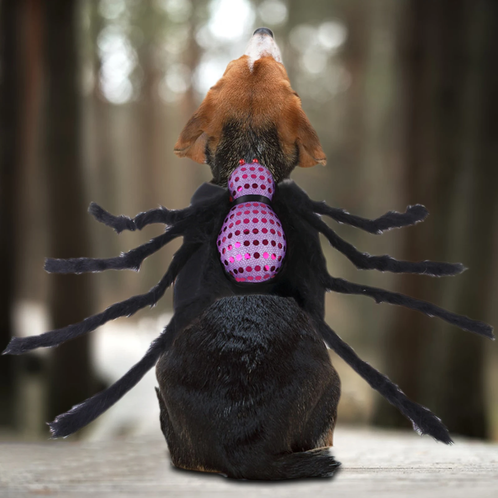 Dog Spider Costume
