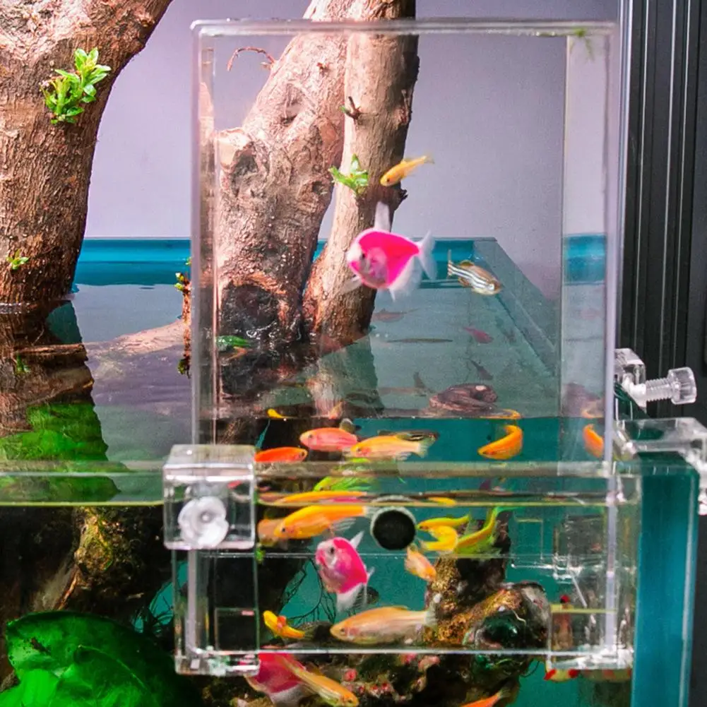 Aquarium-Vacuum-Fish-Tower-Above-The-Water-with-Snap-Acrylic-Fish-Tank ...