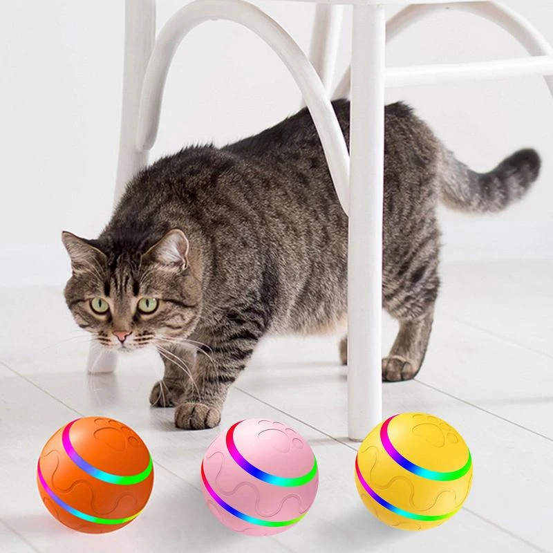 What Are Smart Dogs Made Of