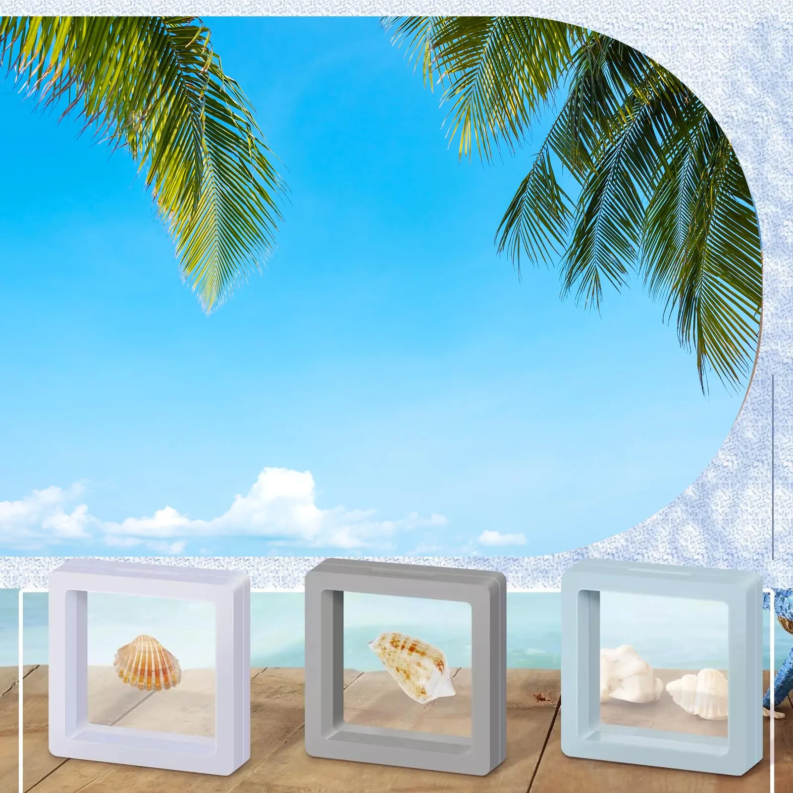 3D Floating Seashell Display Box Small Craft Organizers Display Case ...