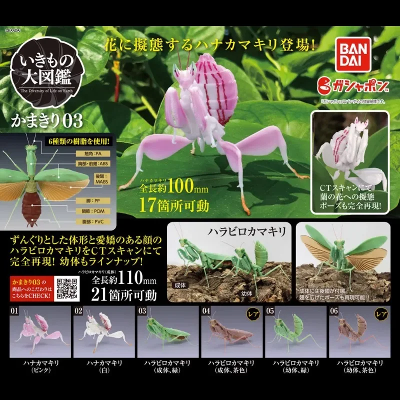 BANDAI-Japan-Gashapon-Figure-Anime-Cute-Biology-Map-Orchid-Mantis ...