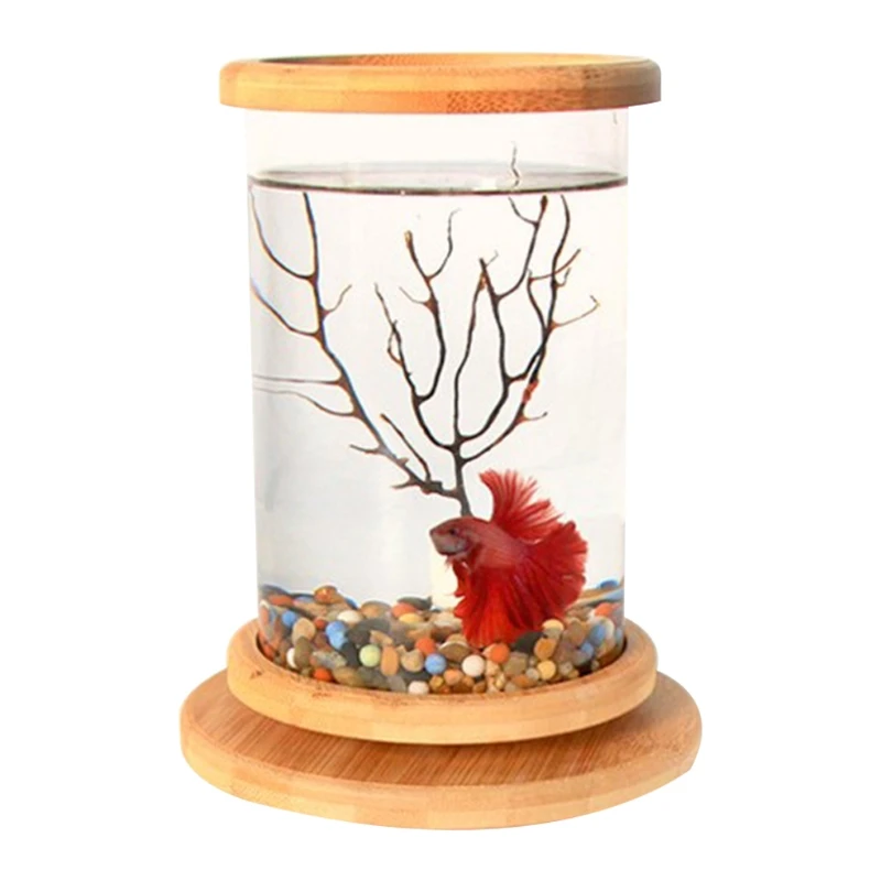 Cool Betta Fish Bowl Ideas