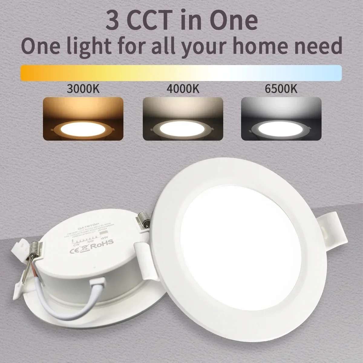2pcs Dial swich CCT LED Downlight 100-240V 3000K/4000K/6500K Ceiling ...