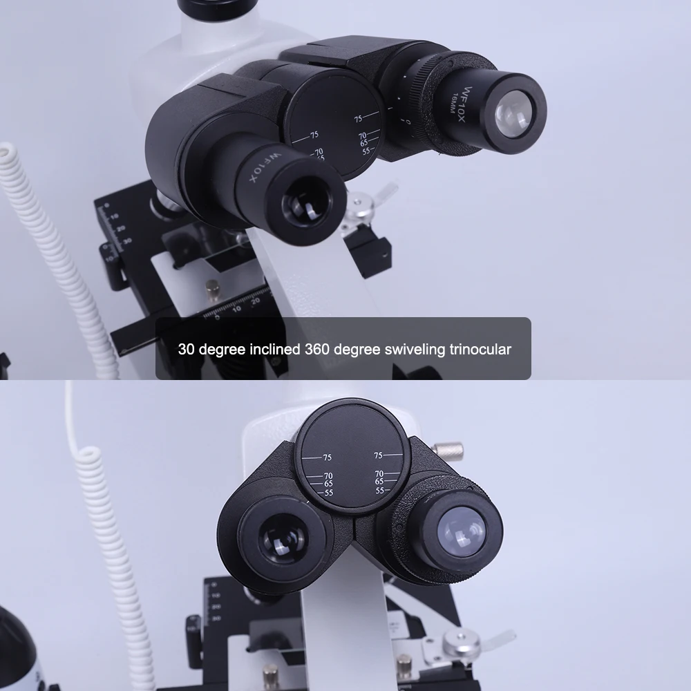 7 Inch LCD Digital Microscope 40X-2500X Compound Microscope With 7" LCD ...