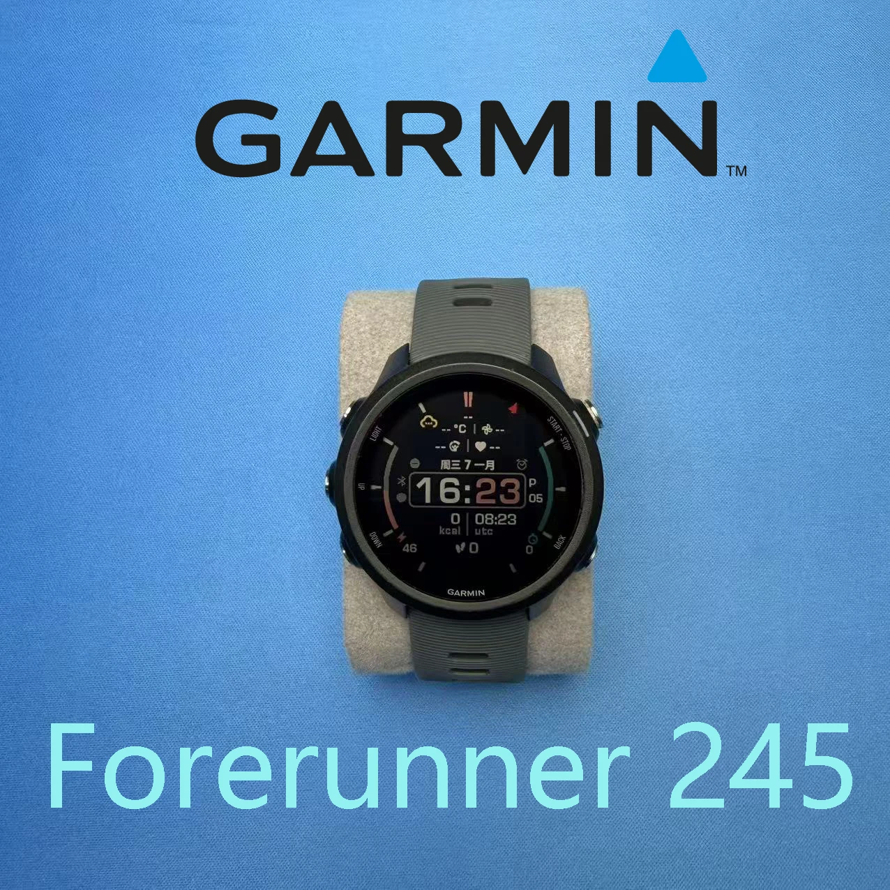 Garmin Forerunner 245（Second-hand）（Languages Chinese an english ...
