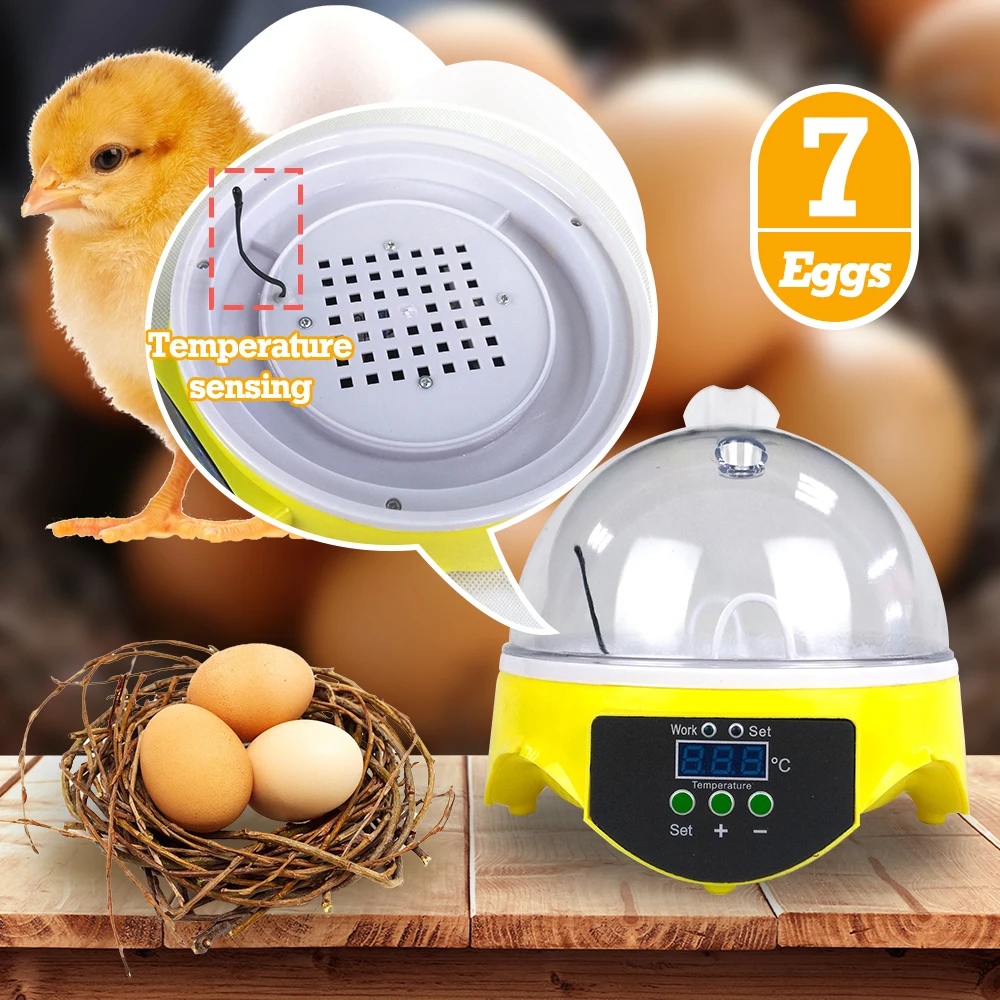7-Eggs-Automatic-Egg-Incubator-Brooder-110-220V-Poultry-Incubator-with ...