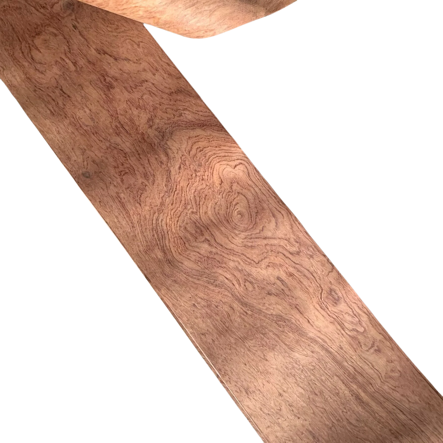 S305fed952020424fb673bc3b9e3eb3419.png