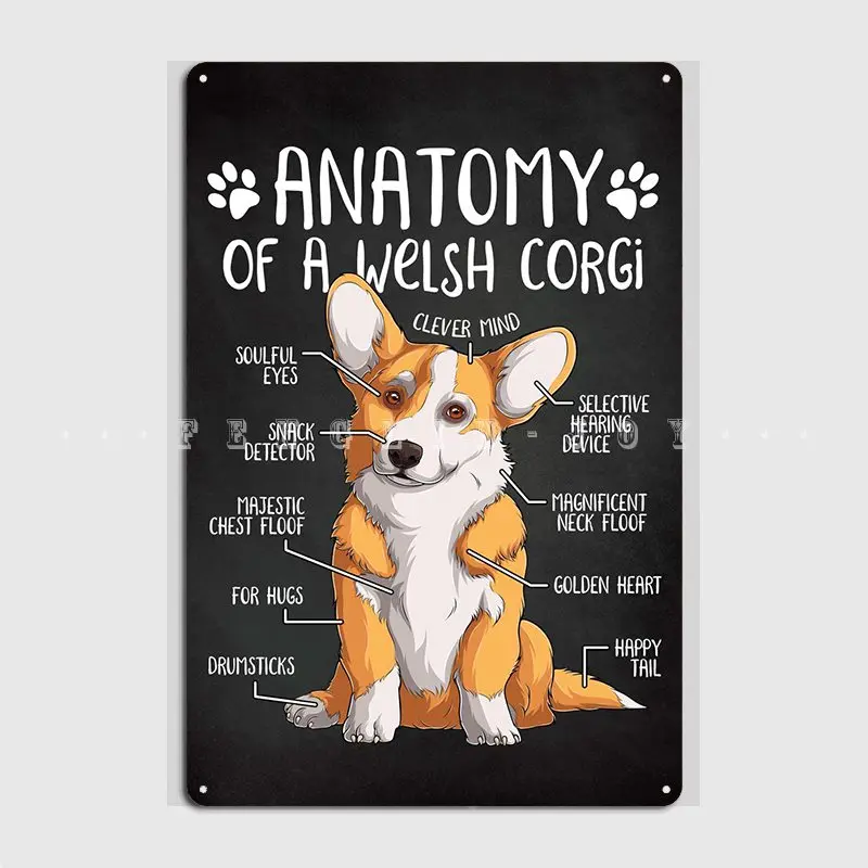 Welsh Corgi Funny