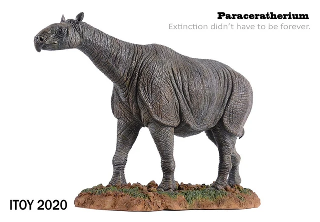 Palaeotherium