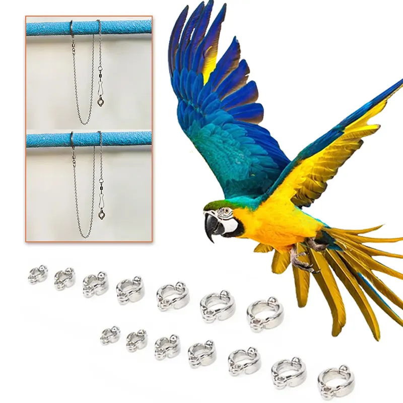 Parrot-Bird-Stainless-Foot-Rings-Chain-With-Buckle-Pet-Parrot-Leg-Ring ...