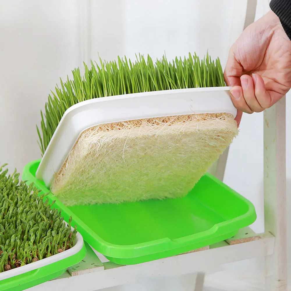 Microgreens Sprouter Tray Hydroponic / Sprouting Tray for Sprout ...