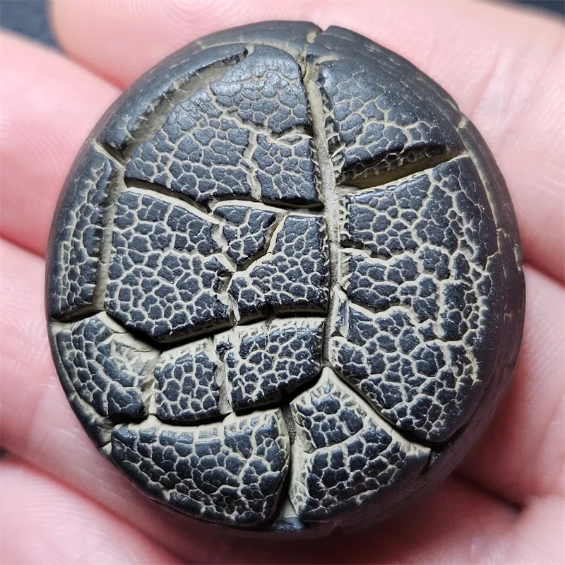 Natural Energy Magic Chakra Stone Palm Toy Mineral Specimen Teaching ...