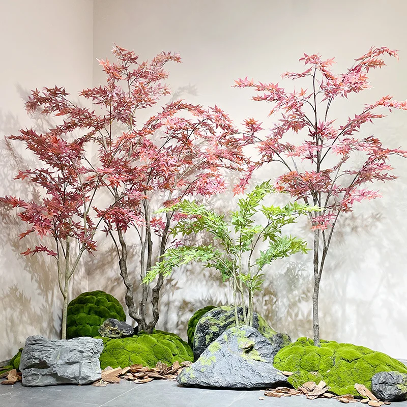 Japanese Maple Tree Drawing