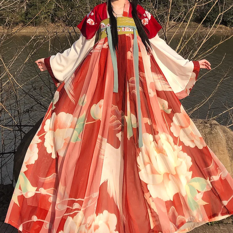 Traditional Japanese Princess Dress