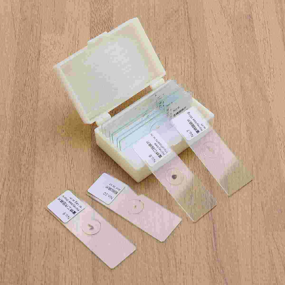 10-PCS-Set-Biological-Microscope-Microscope-Slides-With-Specimens ...