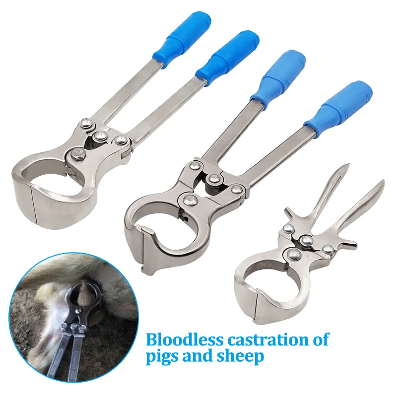 Sheep Goat Ram Bloodless Castration Emasculate Plier Clamp Castration ...