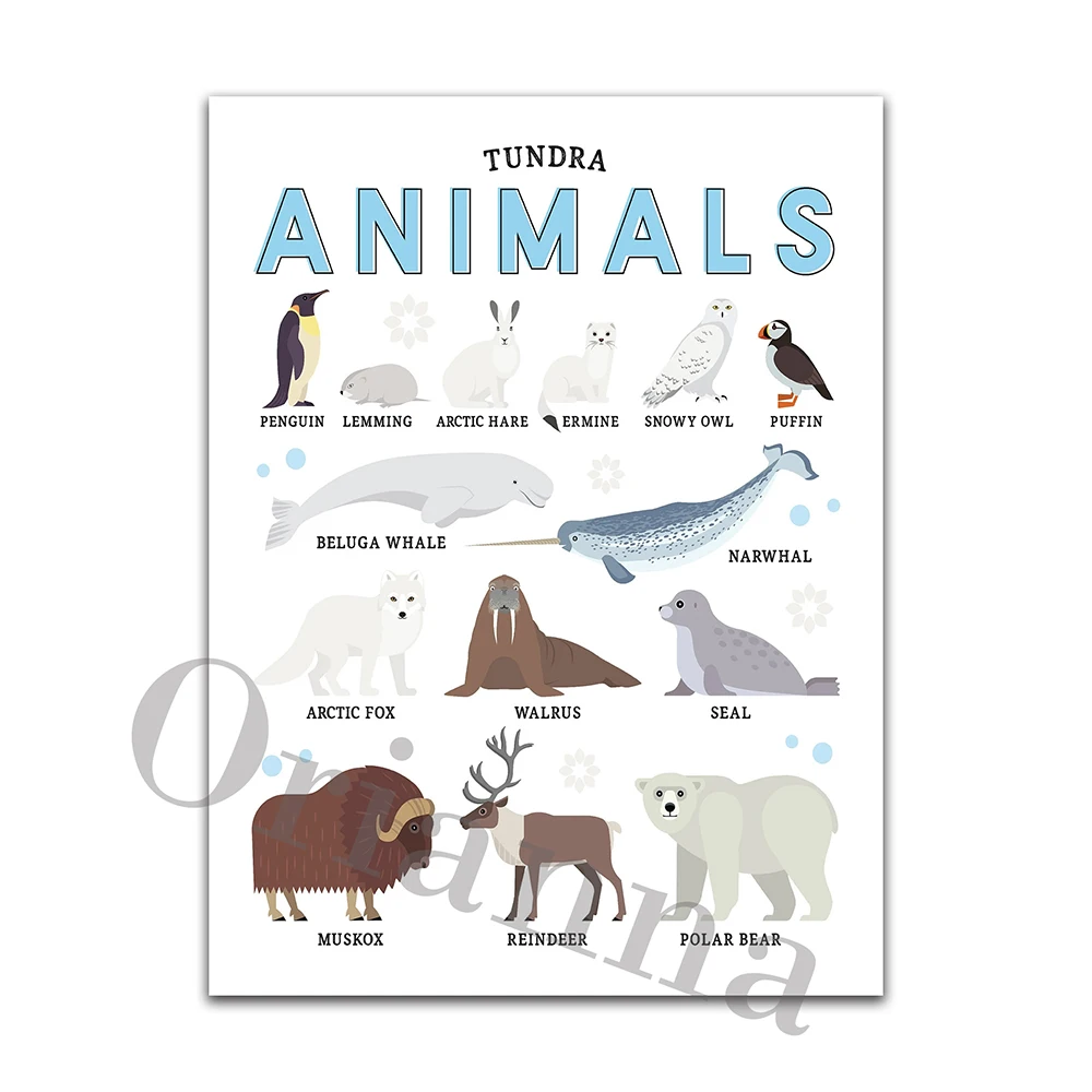 Cool Tundra Reptiles