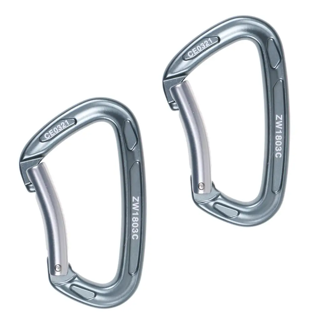 2Pcs-24KN-5300lb-Climbing-Carabiner-Spring-Clip-Locking.jpg