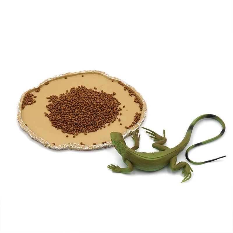 Lizard Dishes