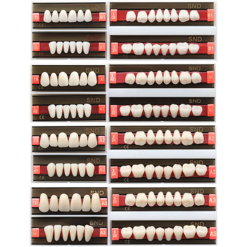 Two Layer Acrylic Synthetic Resin Dental Teeth Whitening Denture Fake ...