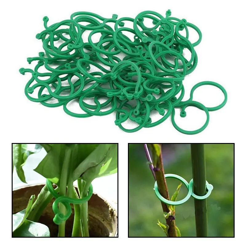 50Pcs-8-Word-Buckle-Vine-Tying-Clips-Ring-Fixing-Bracket-Garden-Plant ...