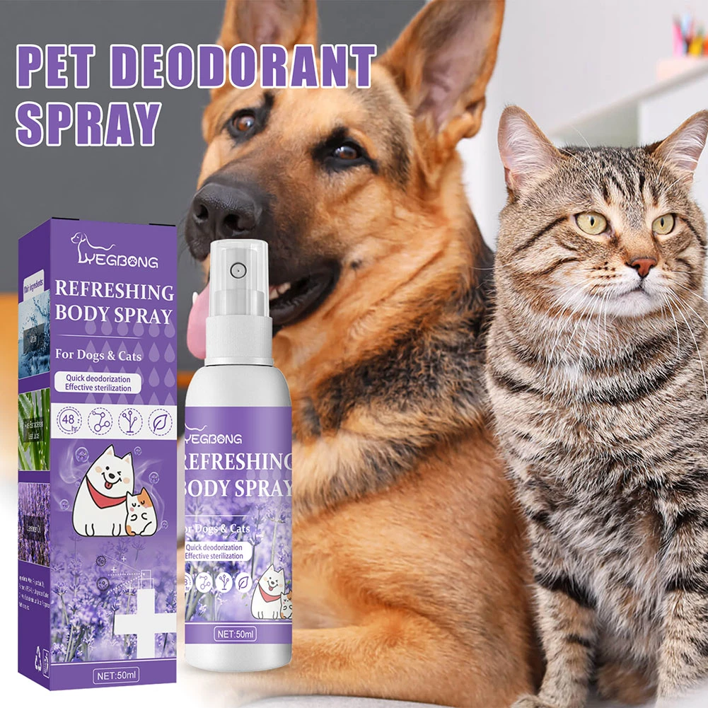 How Do You Deodorize A Dog