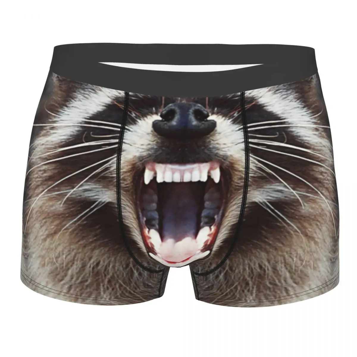 Sexy-Male-Sexy-Raccoon-Snarling-Underwear-Trash-Panda-Racoon-Boxer ...